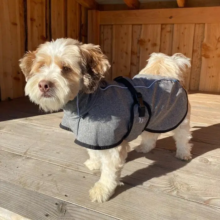 BARK Softshell hundedækken | Back on Track → Tryk Her